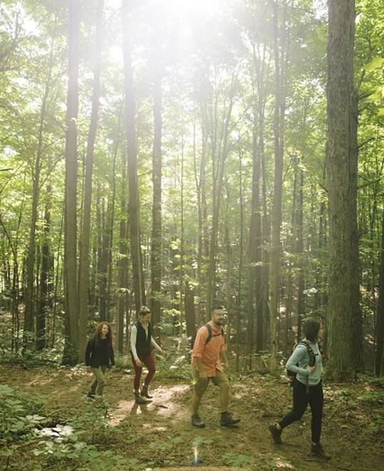 Gaylord Michigan Area Convention and Tourism Bureau | Travel, Lodging ...