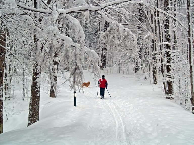 Welcome to a Wide-Open Winter - Gaylord Michigan Area Convention and ...