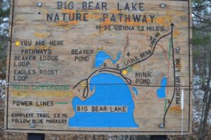 Bear Lake Nature Pathway: Welcome to beaver country! - Gaylord Michigan ...