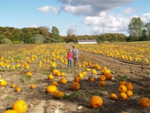 Fall Activities In Gaylord, MI | Visit Gaylord