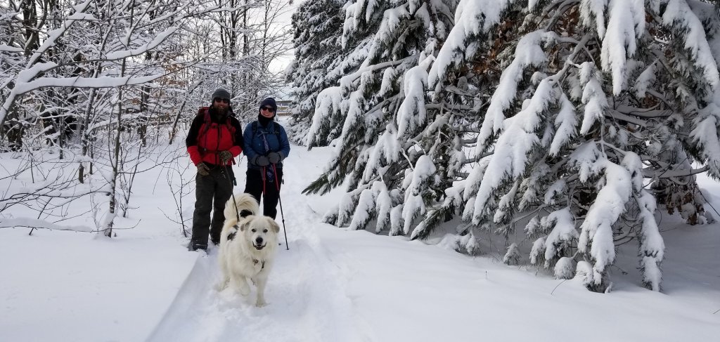 Welcome to a Wide-Open Winter - Gaylord Michigan Area Convention and ...