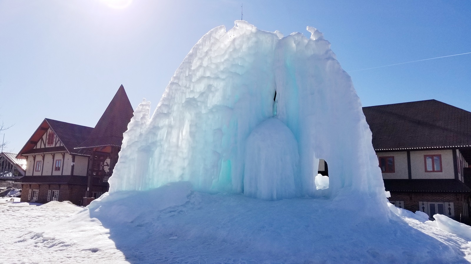 The Illustrious Ice Tree of Gaylord, MI - Gaylord Michigan Area ...