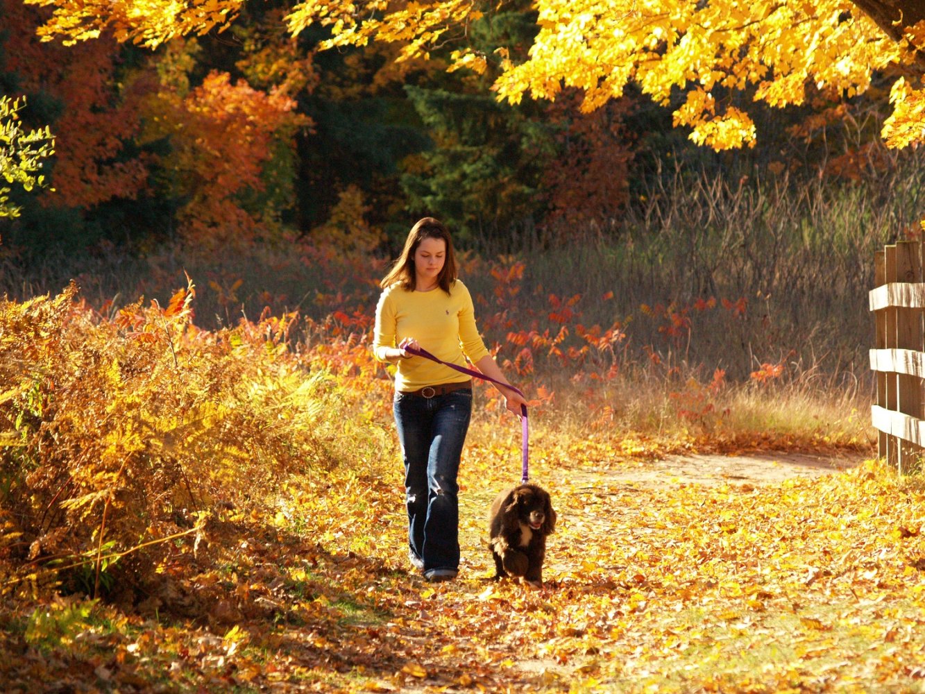 Visit Gaylord | Activities, Lodging & Events in Gaylord, MI