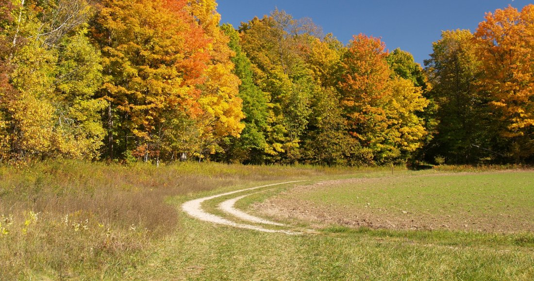 Four-Season Outdoor Activities In Gaylord, MI | Visit Gaylord