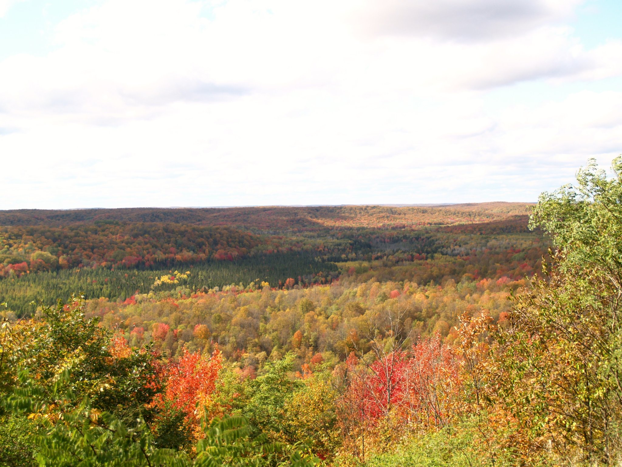 Fall Activities In Gaylord, MI | Visit Gaylord