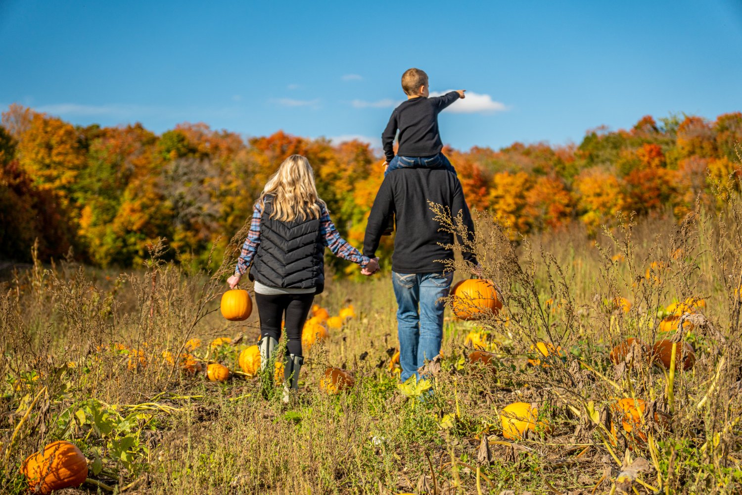 Visit Gaylord | Activities, Lodging & Events in Gaylord, MI