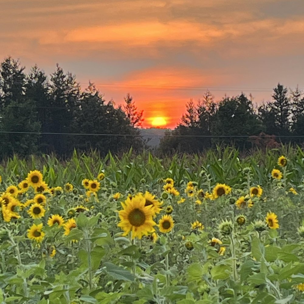The Farm at Legacy Acres - Gaylord Michigan Area Convention and Tourism ...