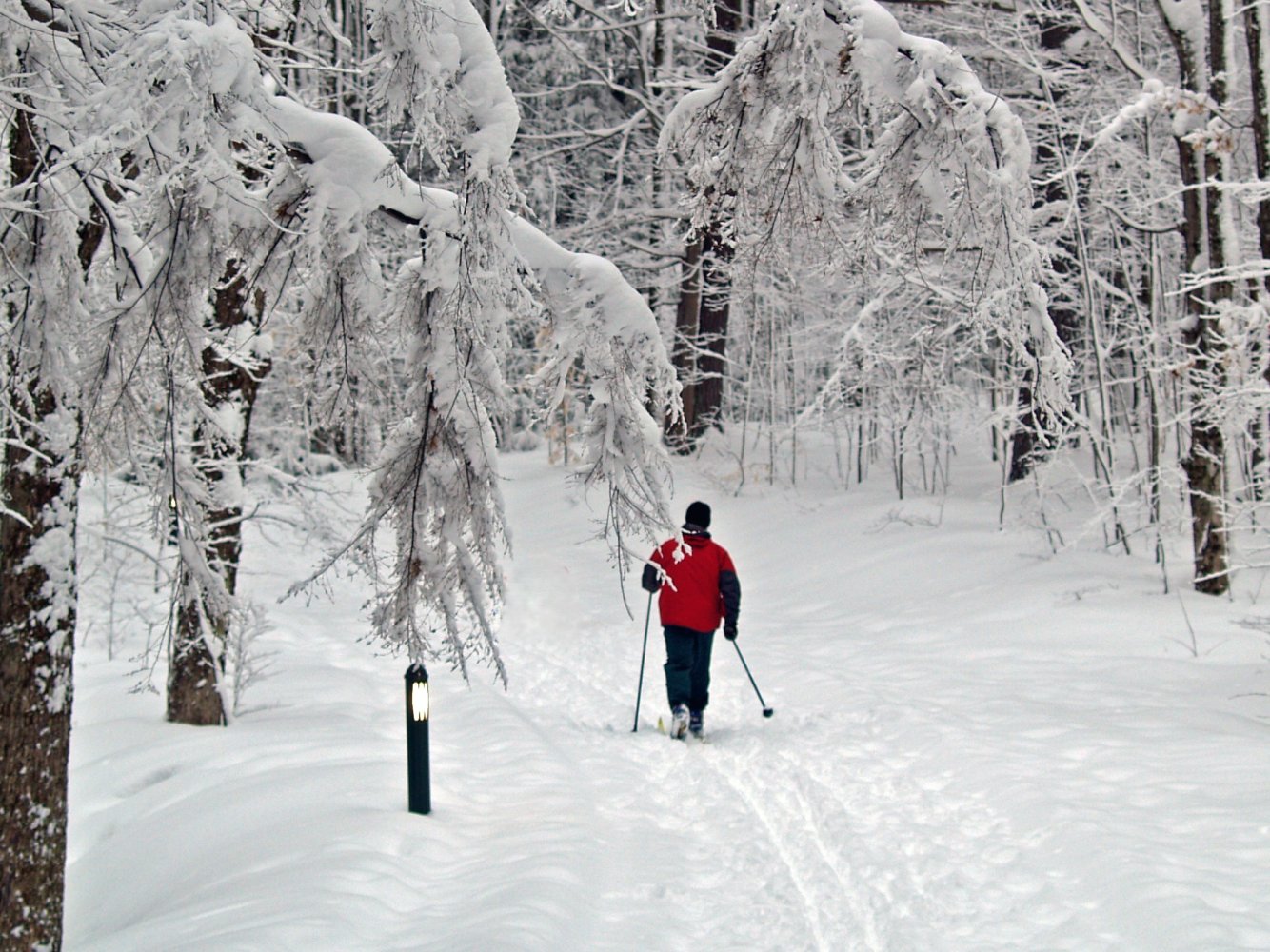 Visit Gaylord | Activities, Lodging & Events in Gaylord, MI