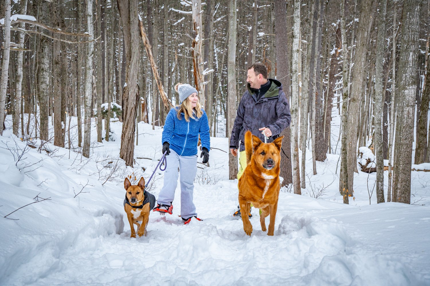 Gaylord, MI Biking, Hiking, Skiing & Snowshoeing Trails | Visit Gaylord