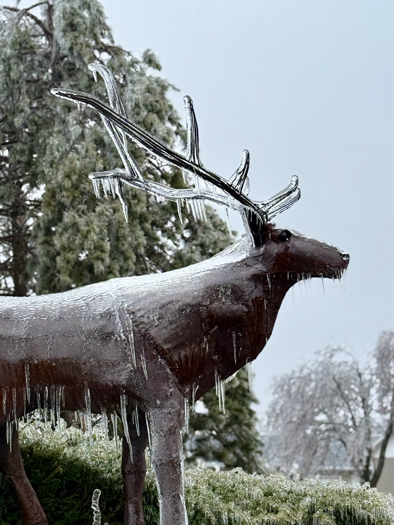 Ice Storm Update - Gaylord Michigan Area Convention and Tourism Bureau